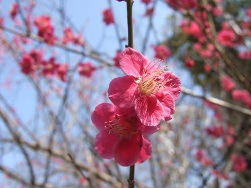 June 2025 – Hiroko Shimbo